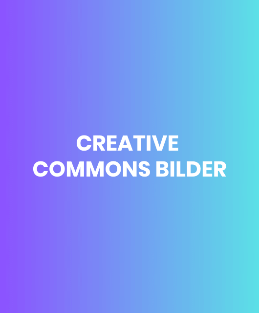 Creative Commons Bilder: Was ist erlaubt und was nicht?